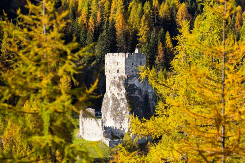 Villas and Castles in the Belluno area