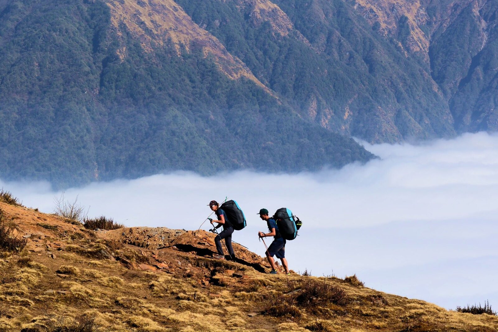 The High Routes of the Dolomites: Alta Via n.5