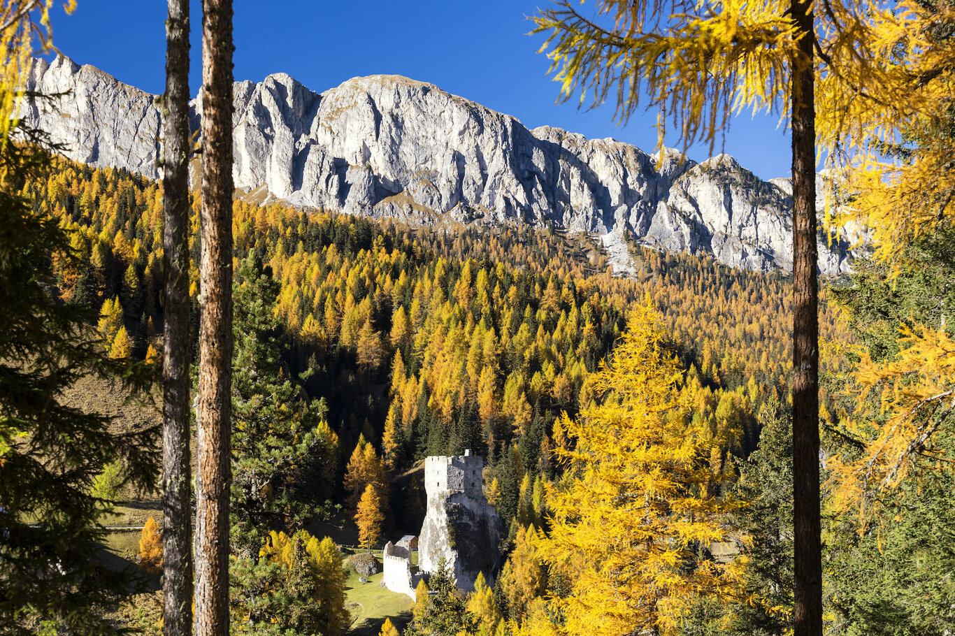 Among the barns of Andraz