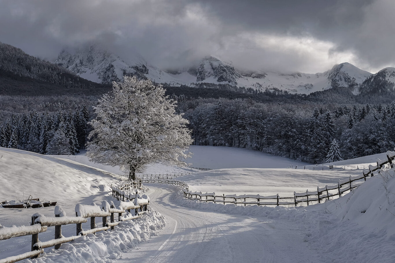 Tambre, nell’altopiano del Cansiglio