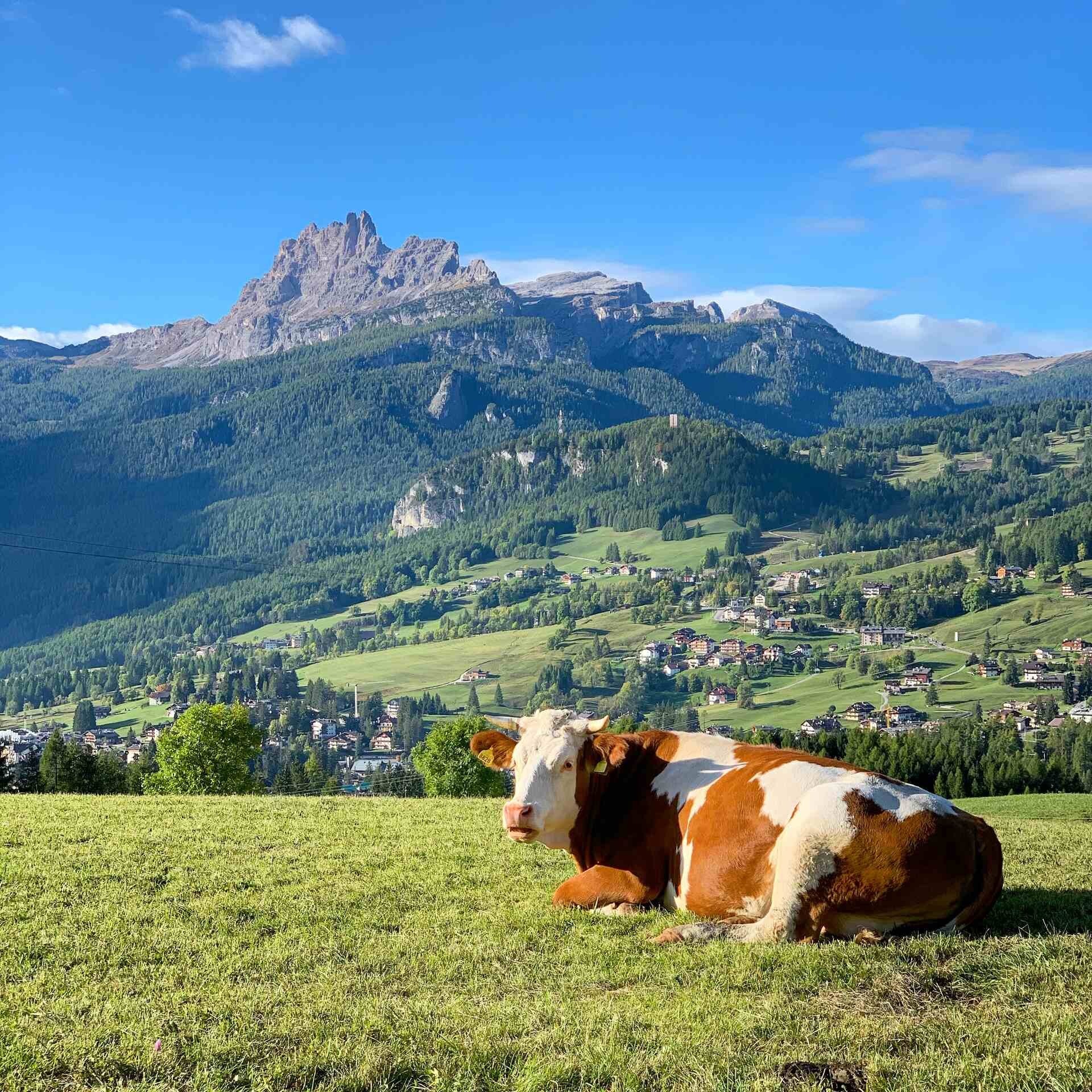 Cortina, the Queen of the Dolomites and of skiing in Italy