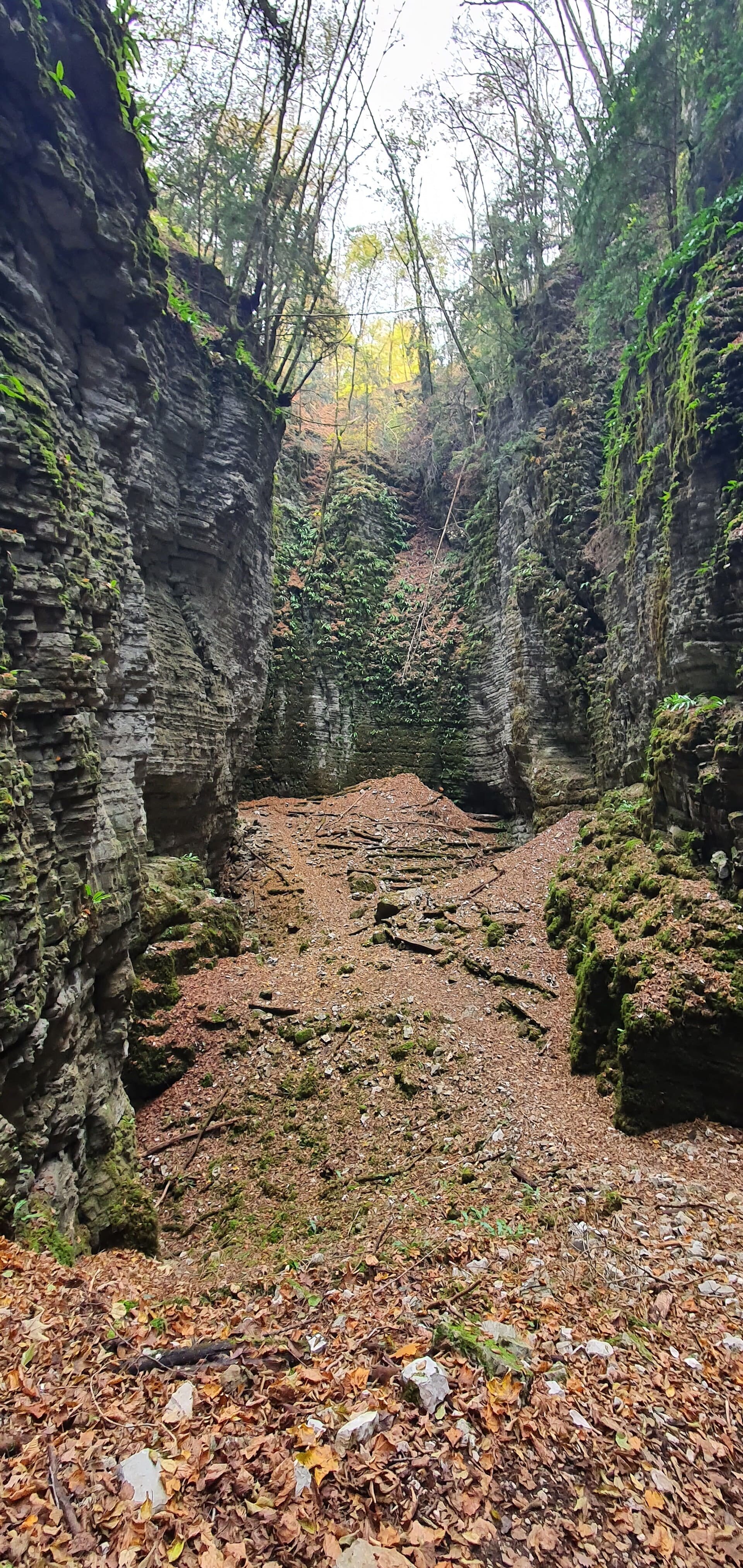 Scopri il canyon Bus del Buson