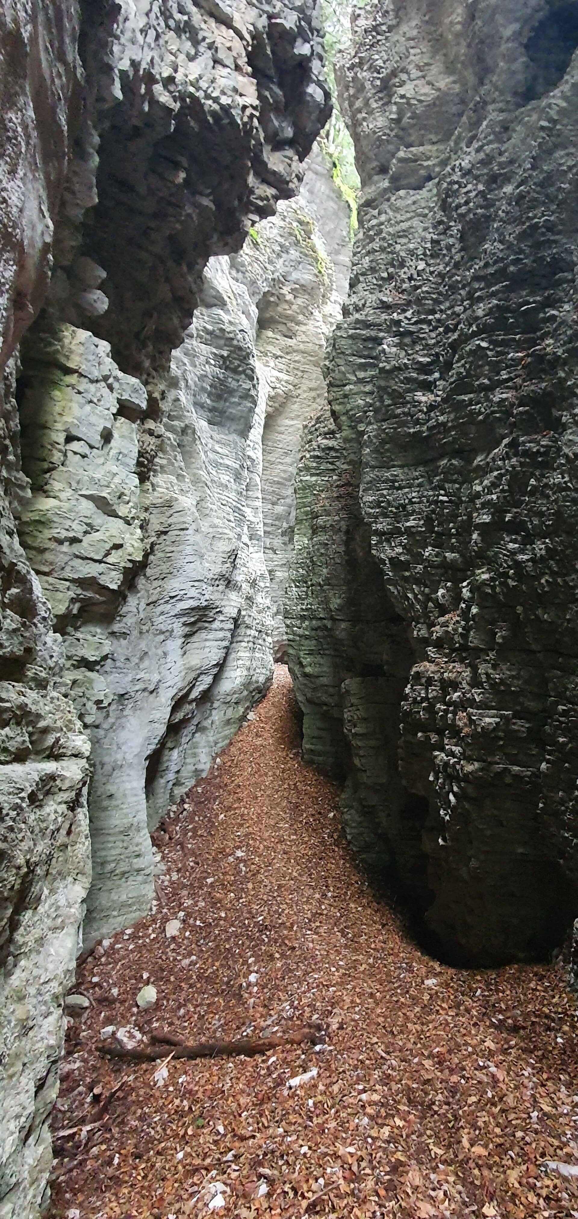 Discover the Bus del Buson canyon
