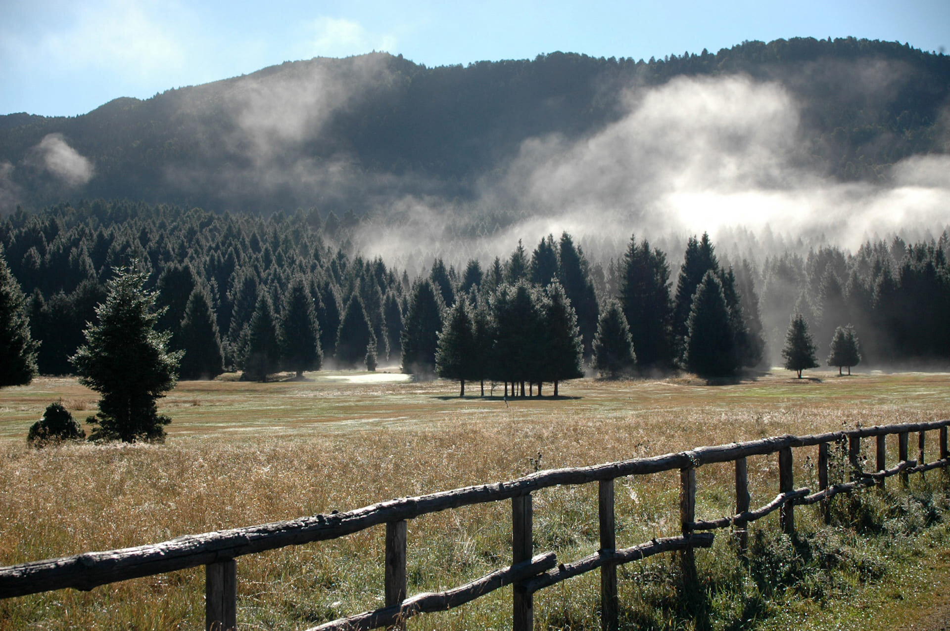 Cansiglio Forest