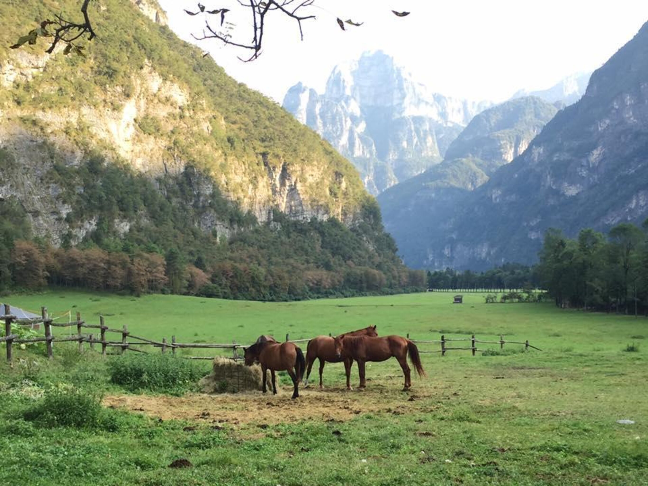 Mappa Parco Nazionale Dolomiti Bellunesi est