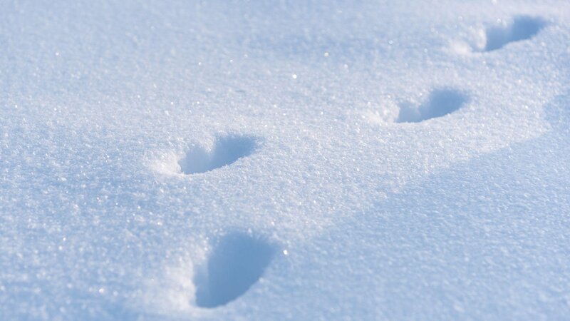 Eventi - C'era una volta la neve - Valbelluna